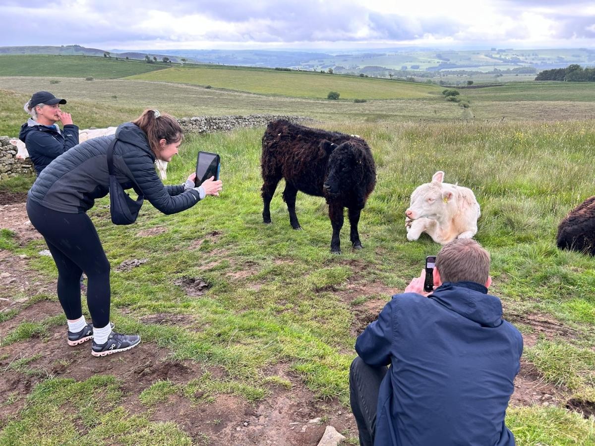 Northumberland ICT & eLearning - Home