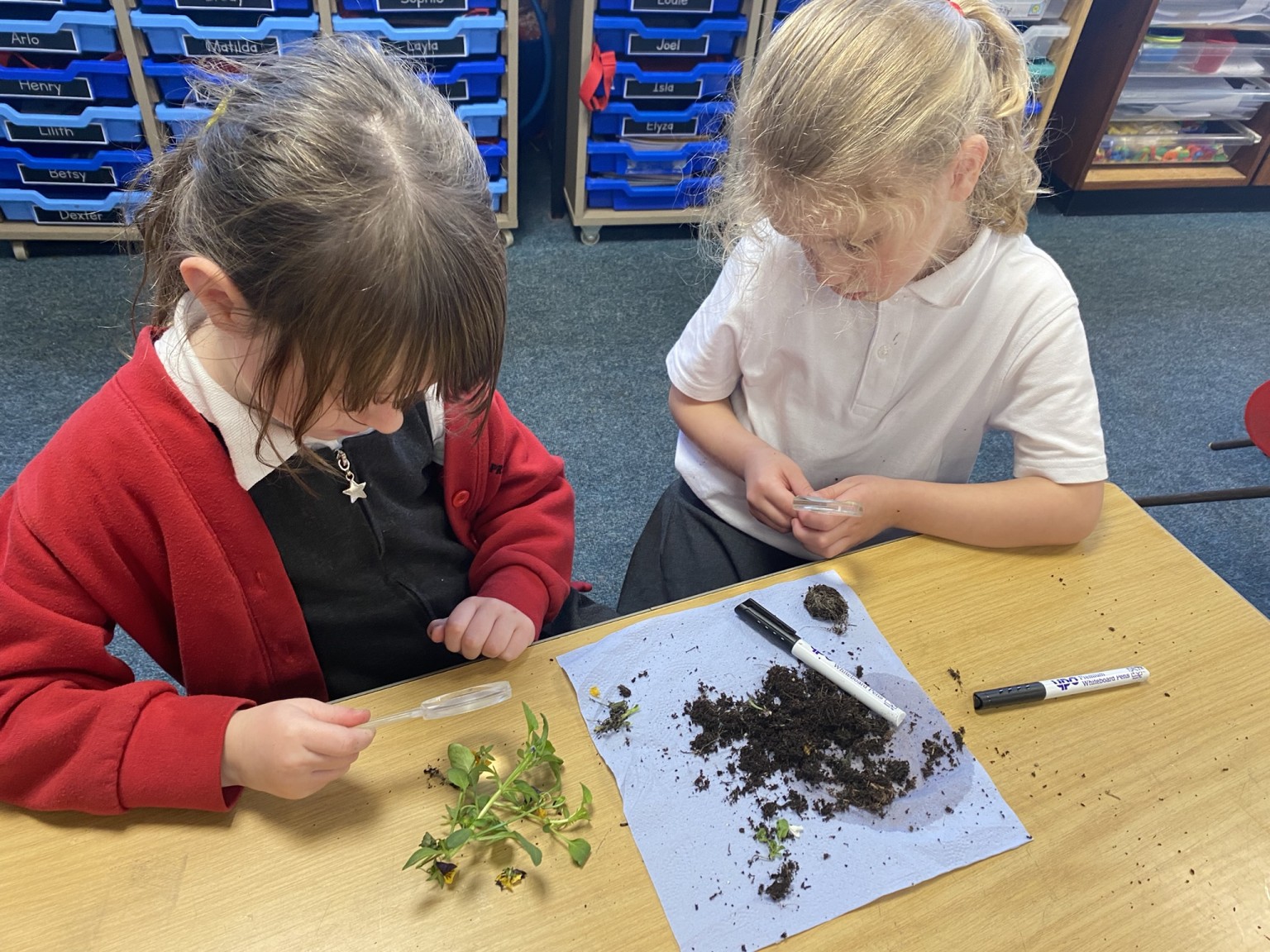 Callington Primary School - Home