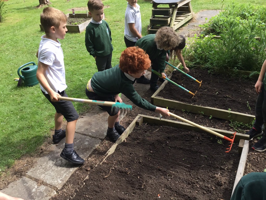 Meldreth Primary School - Home