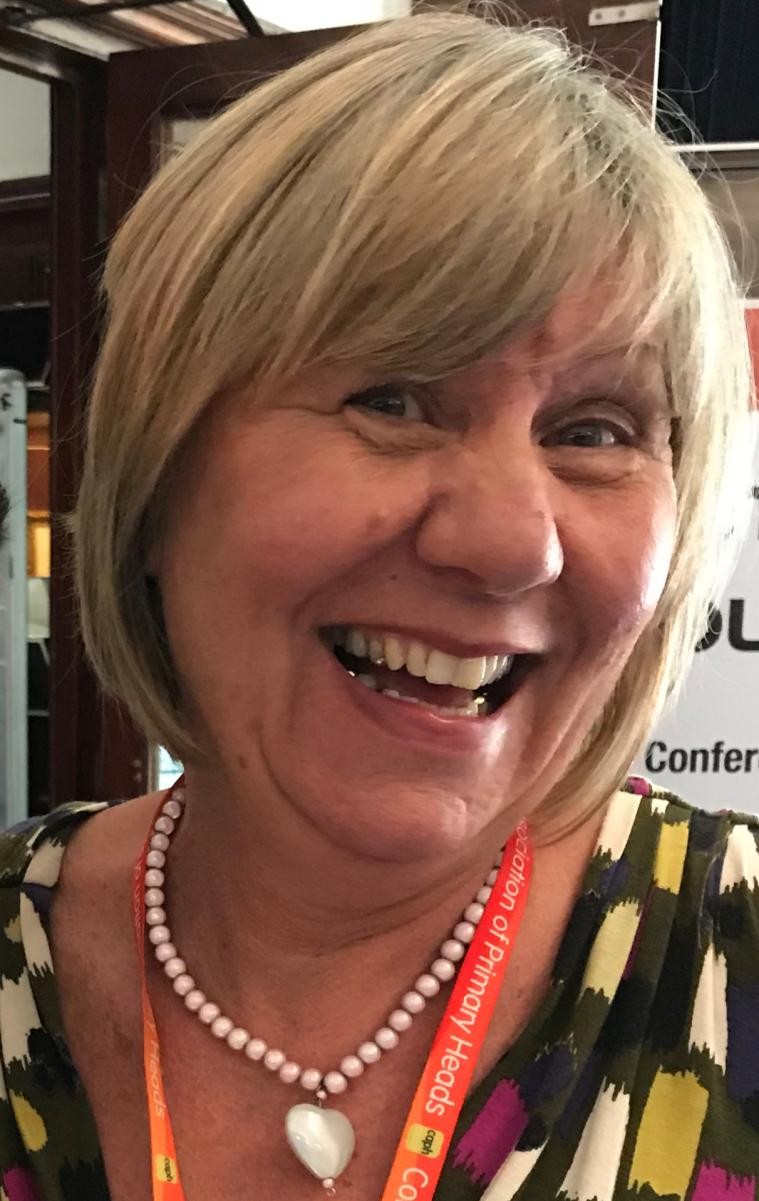 Cornwall Association of Primary Heads - Meet the Team